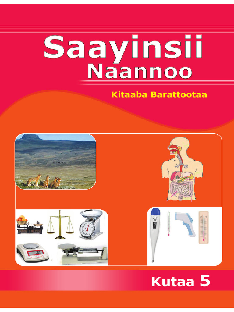 Saayinsii Naannoo Kutaa-5 | PDF