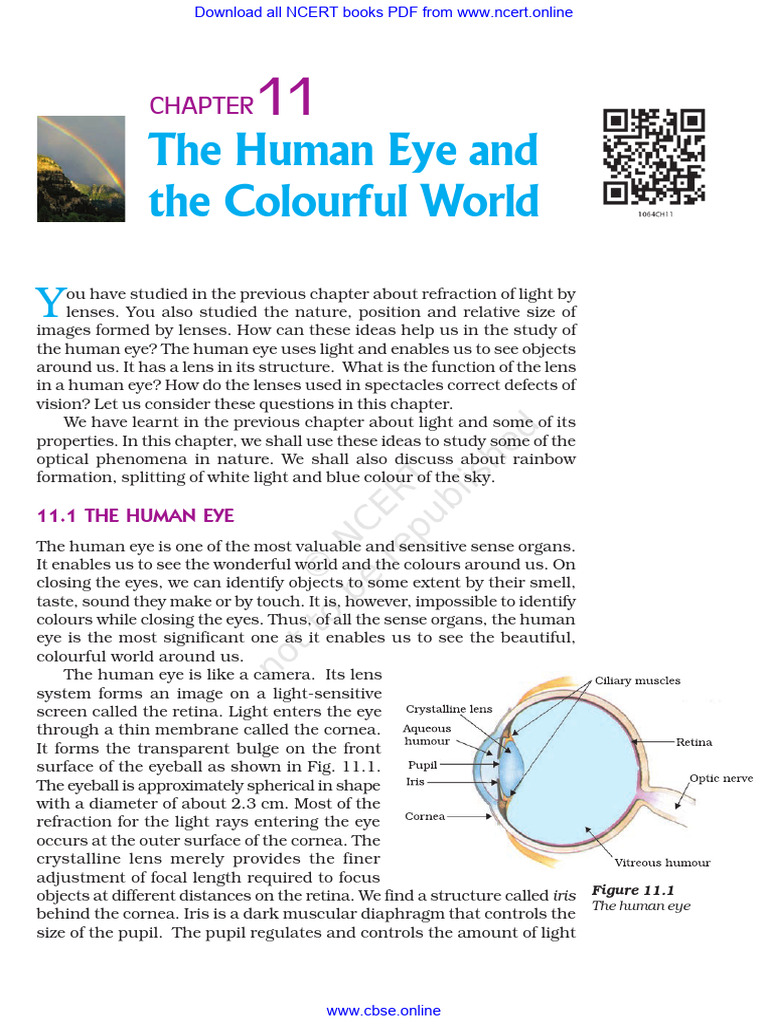 Eye and Optics | PDF