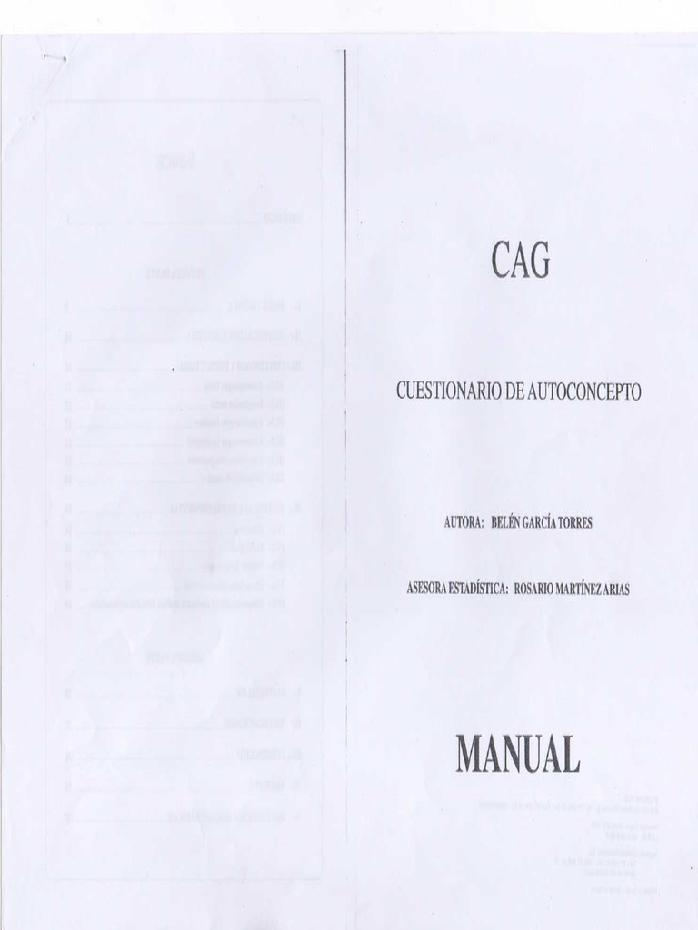 Manual CAG | PDF