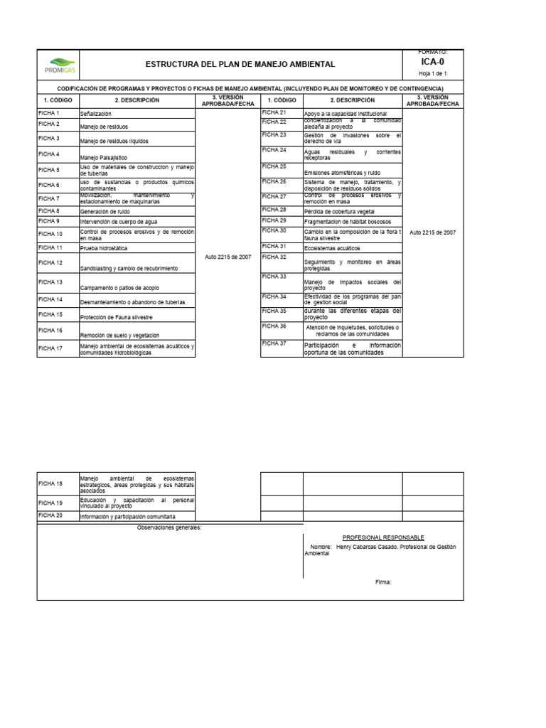 Formato Ica 1a Pma - Psm-Ballenas Social-1 | PDF