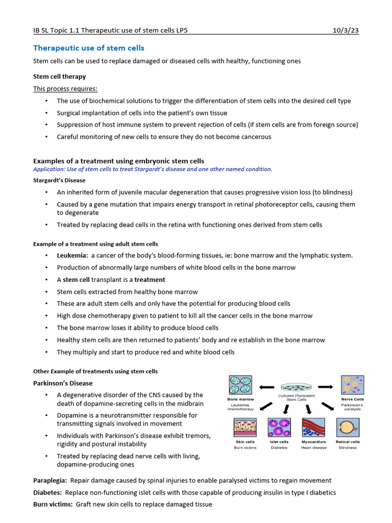 LP5 1.1 Therapeutic Use - Stem Cells | PDF