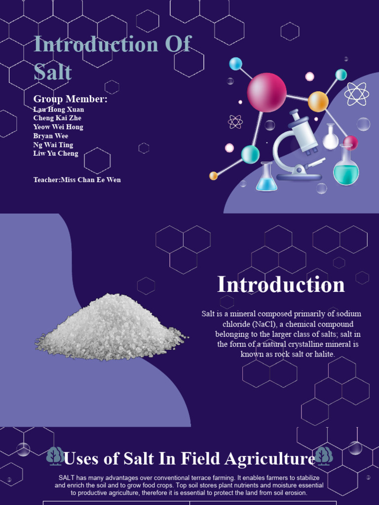 Introduction of Salt | PDF