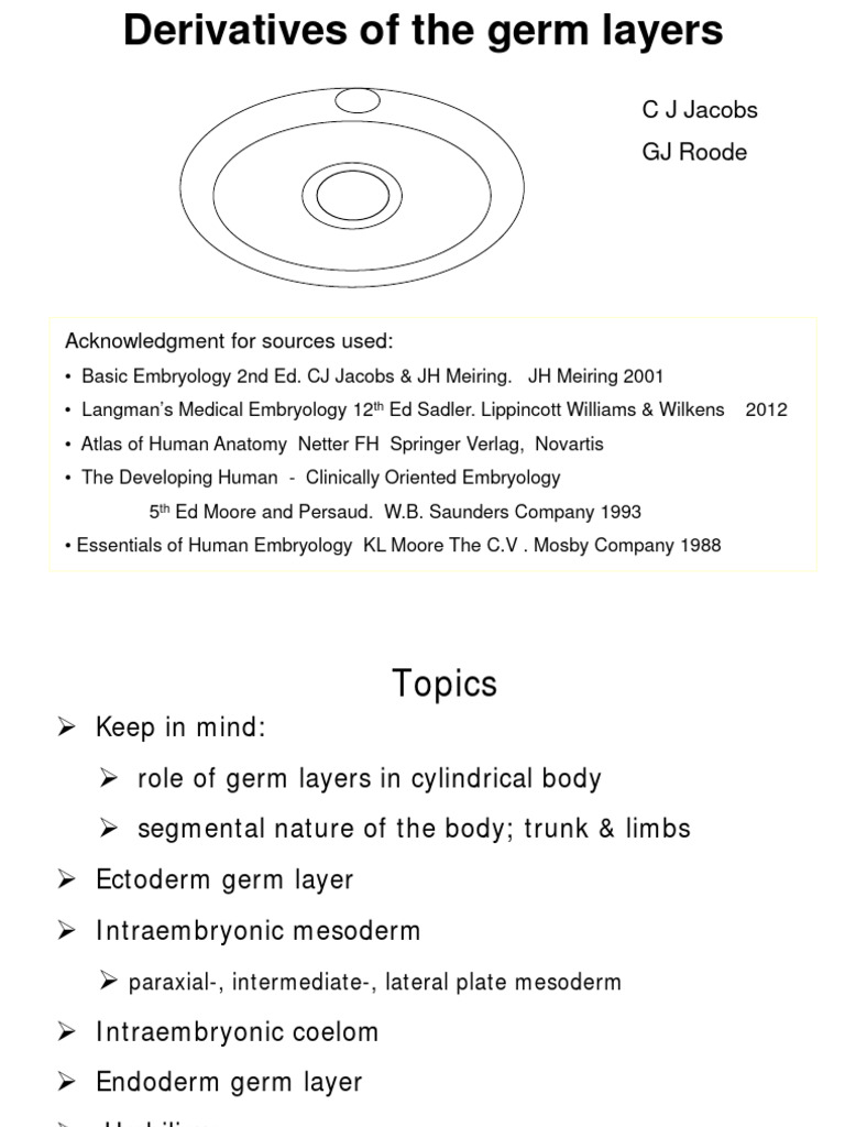 12 Germ - Derivatives 2018 | PDF