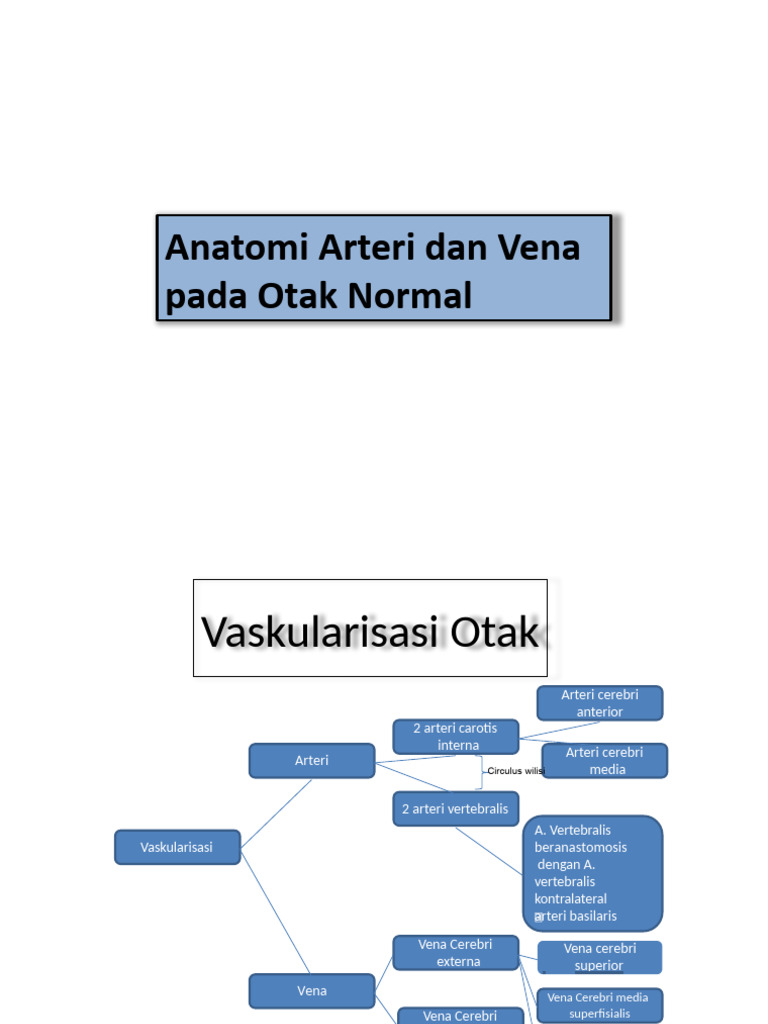 Anatomi Arteri Dan Vena Pada Otak Normal | PDF