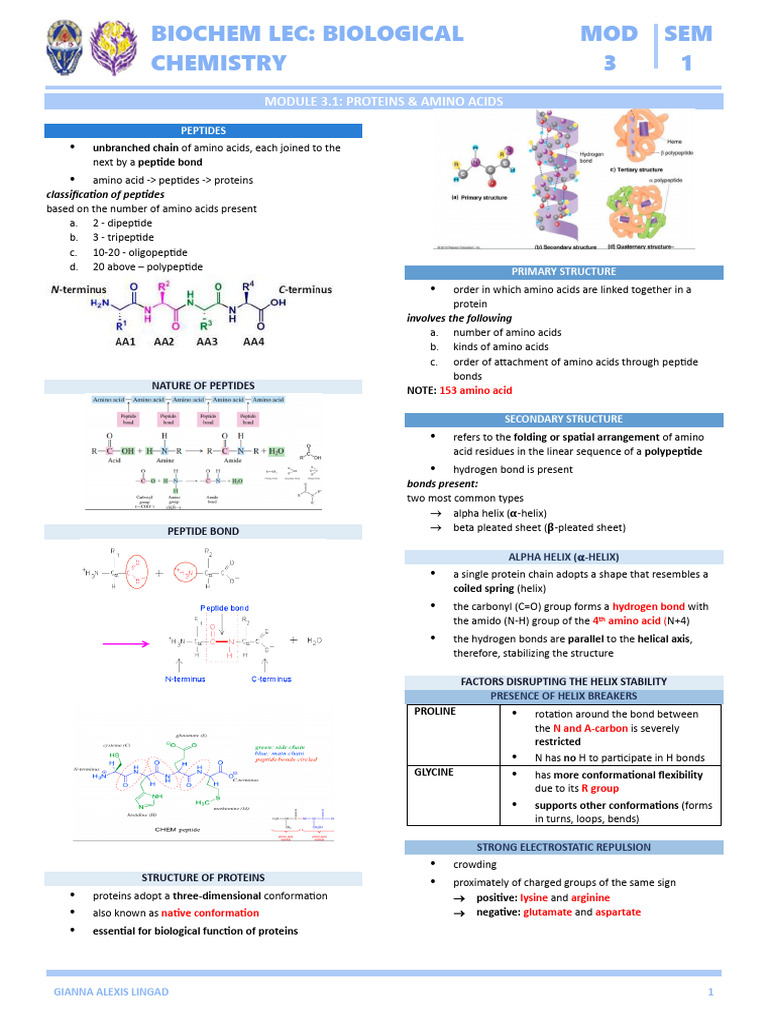 BioChem LEC - M3.1 | PDF