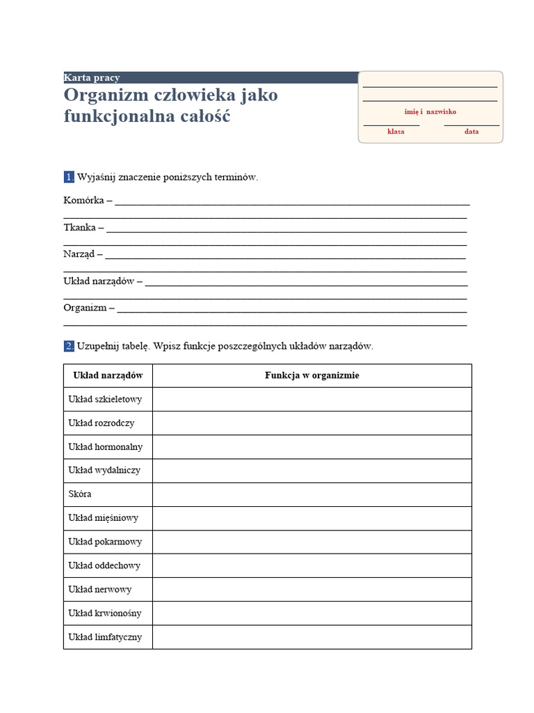 Organizm Czlowieka Jako Funkcjonalna Calosc Karta Pracy | PDF