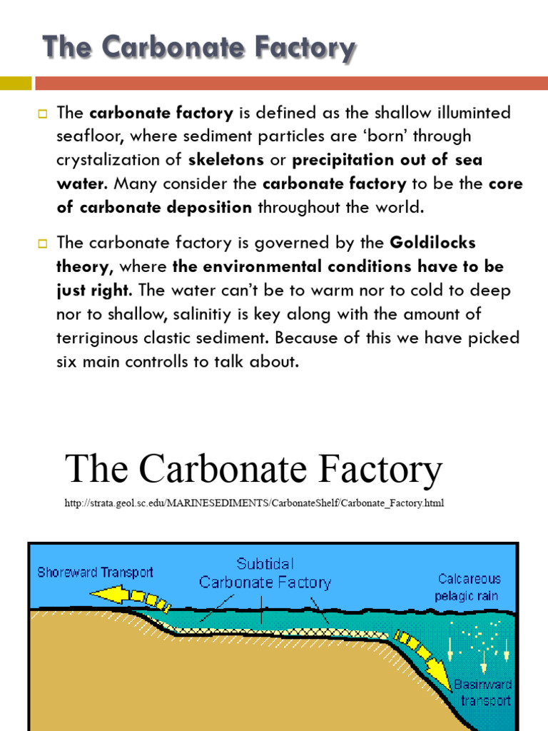 Carbonate Factory | PDF
