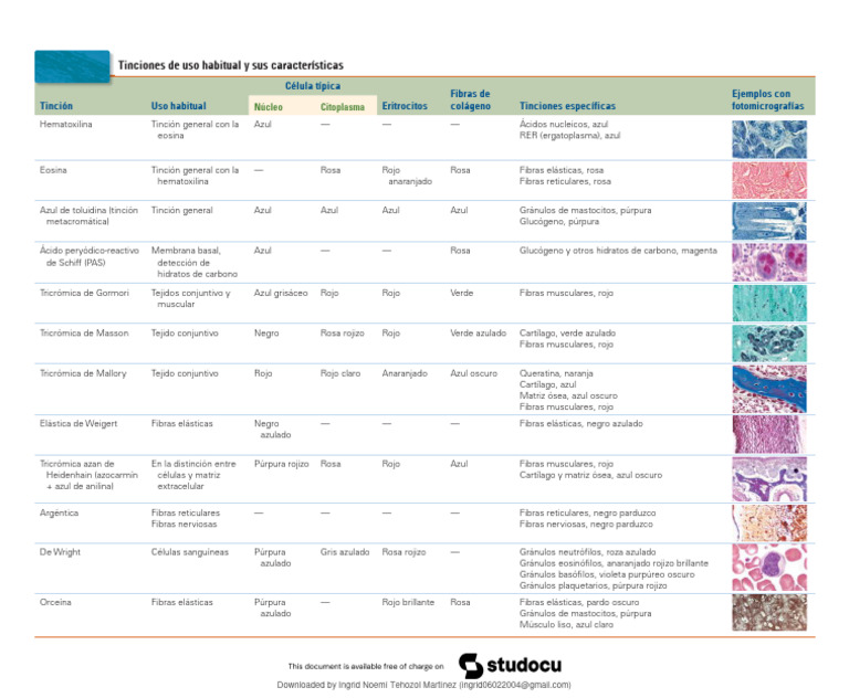 Tabla de Tinciones - Histología Ross | PDF