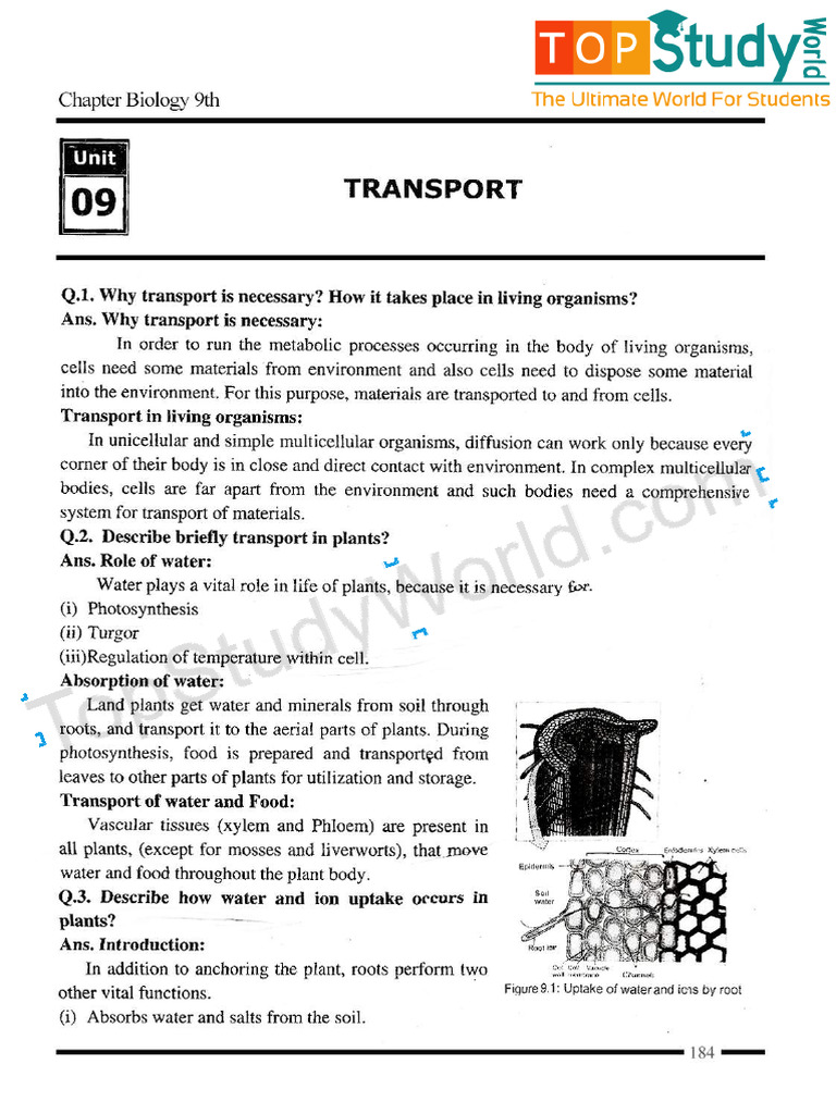 Chapter 9 Transport Pdf