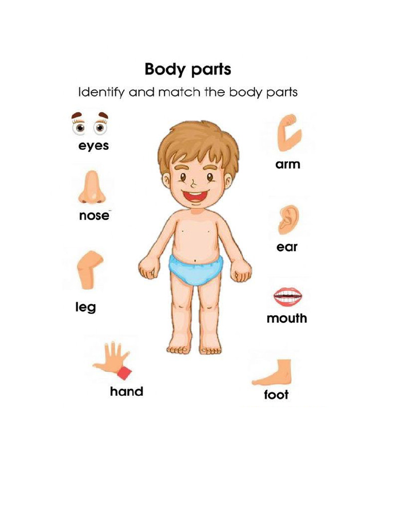 Activity Sheet For EVS | PDF