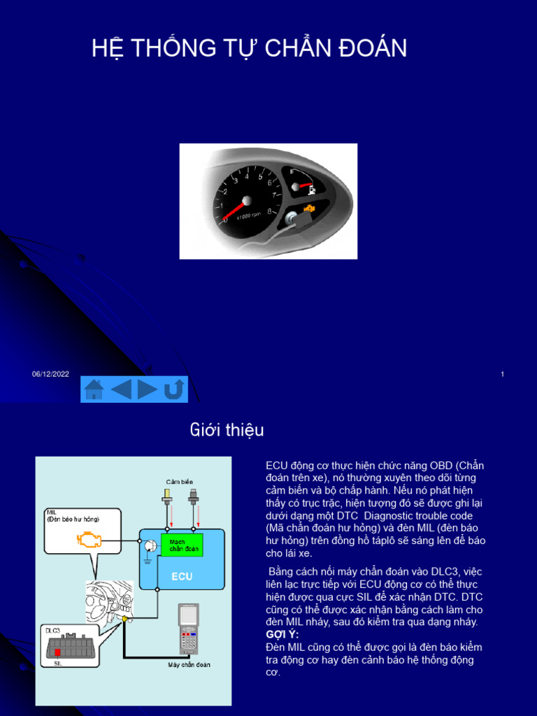 5 Chan Doan - 2 | PDF