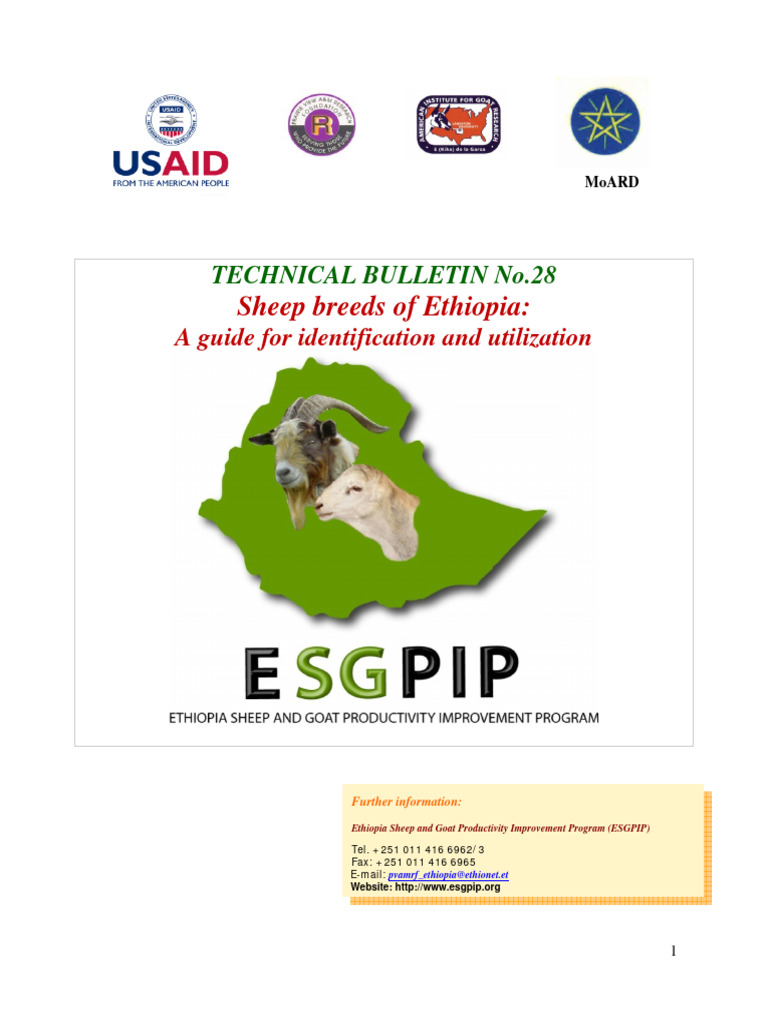 TB 28 Sheep Breeds of Ethiopia | PDF