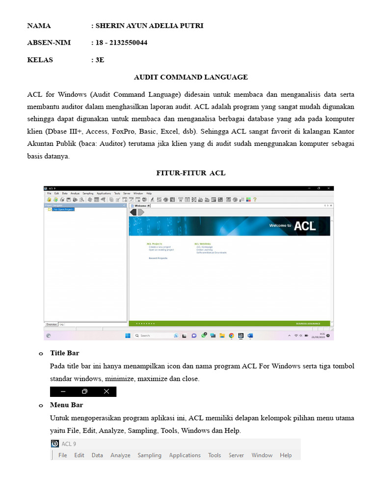 Panduan Lengkap Audit Command Language | PDF