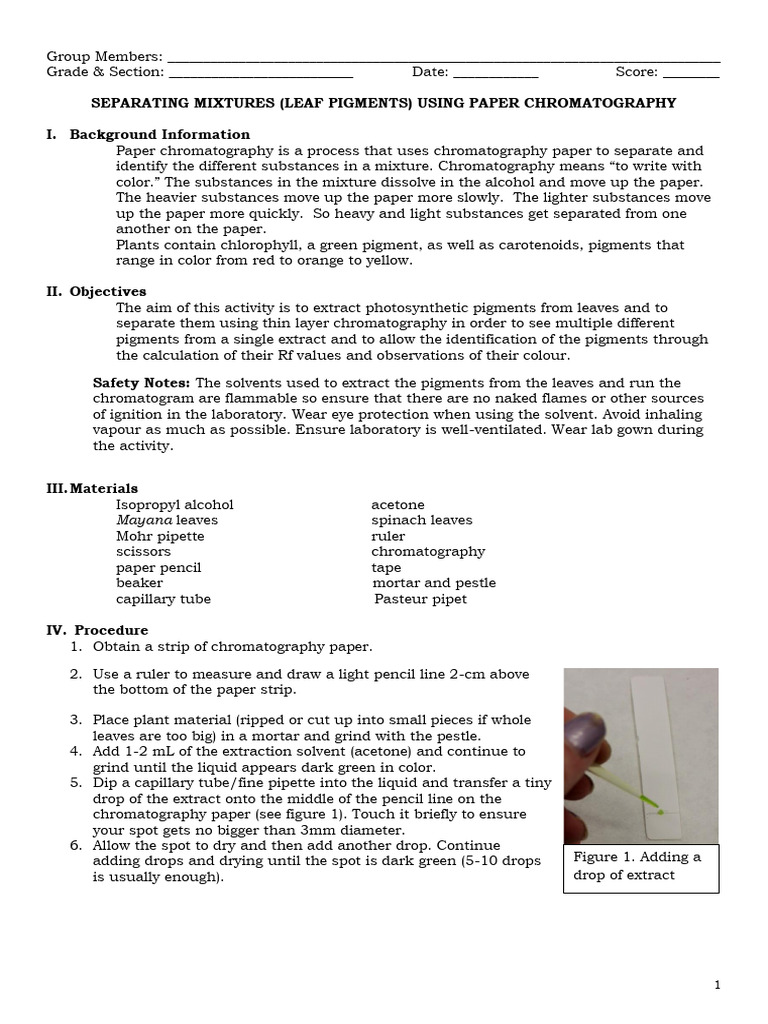 Spinach Pigment Separation by Chromatography | PDF | Chromatography ...