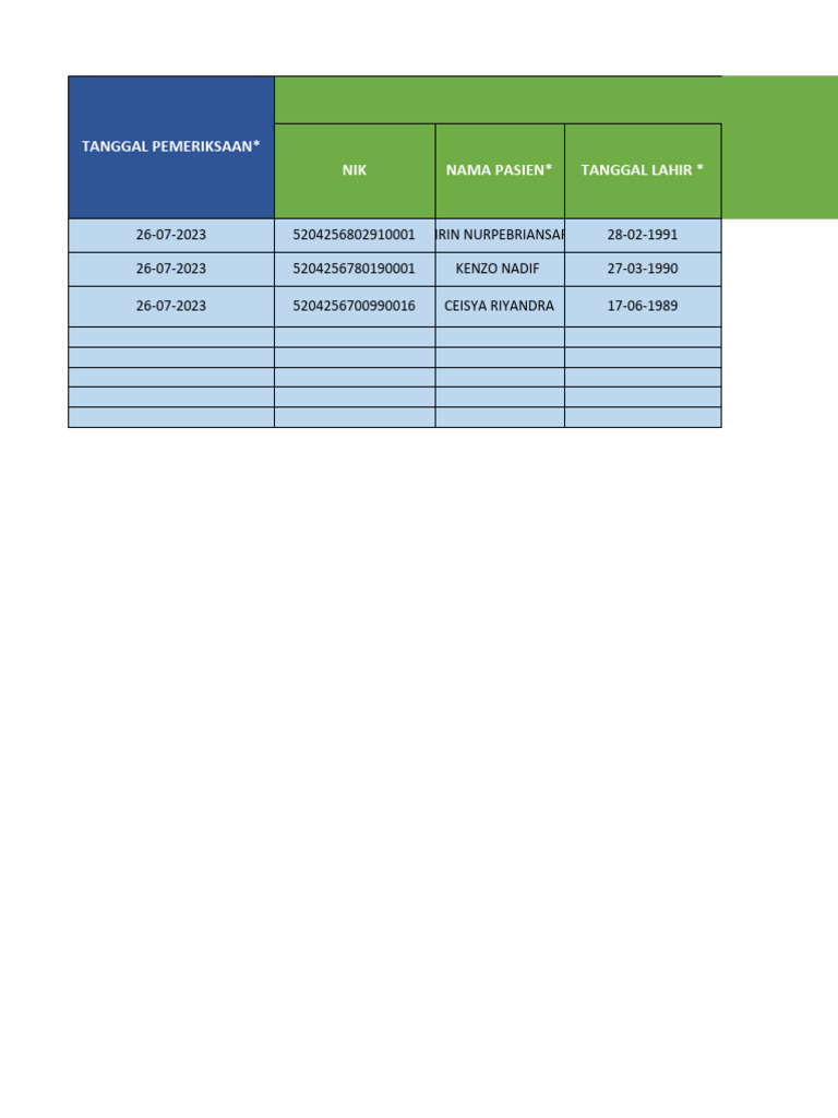 Form Offline Puskesmas (DR - Ririn Nurpebriansari) | PDF