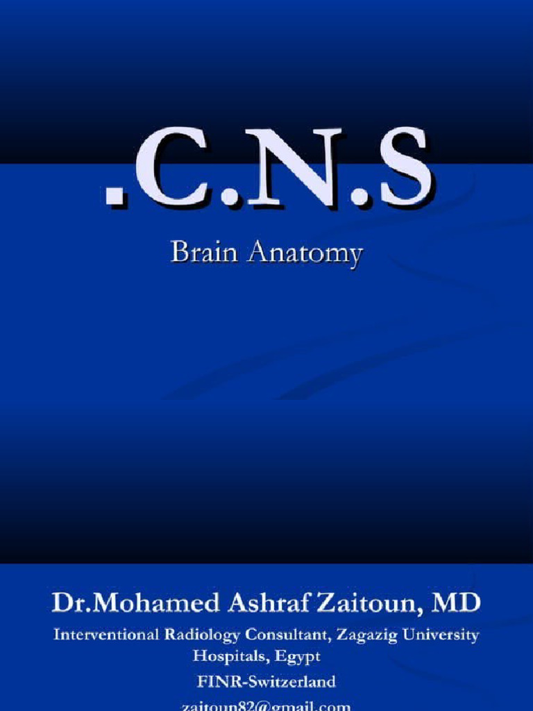 CNS Brain Anatomy | PDF