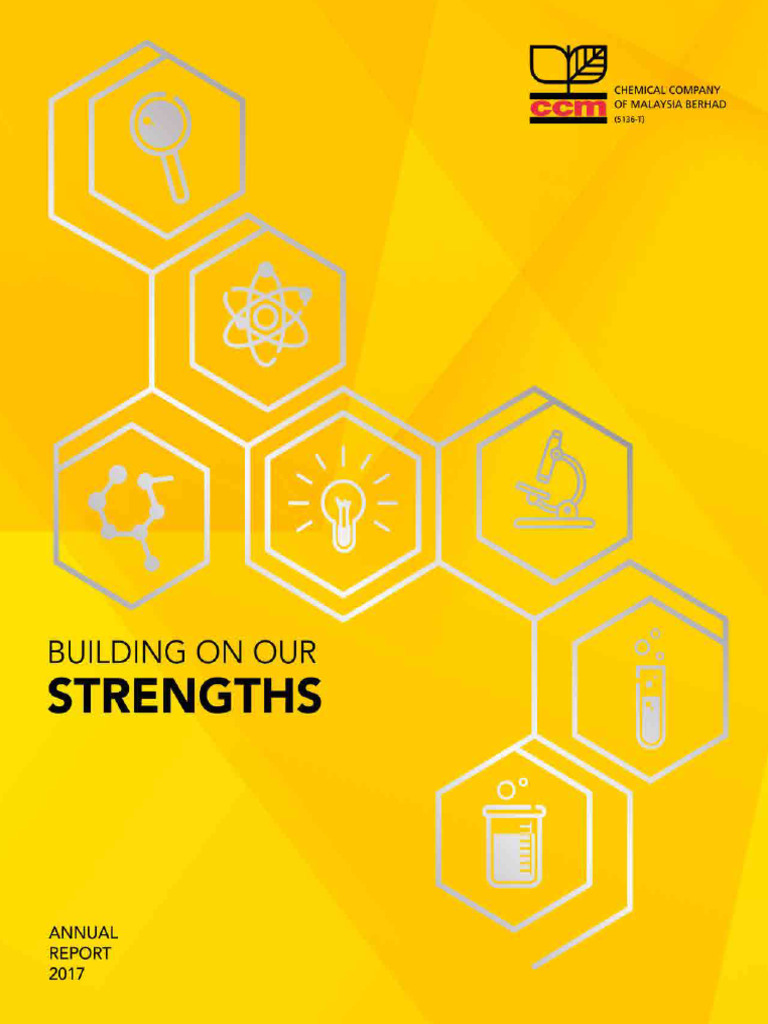 CCM Annual Report 2017 | PDF