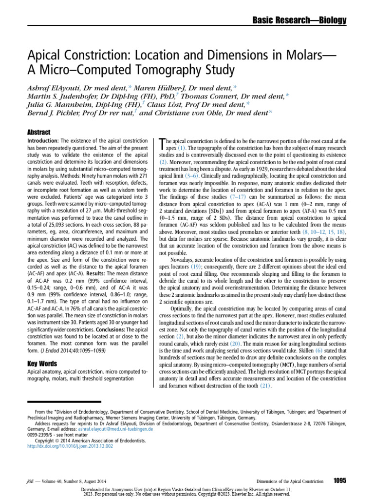 ElAyouti Et Al 2014 - Apical Constriction Location and Dimensions in ...