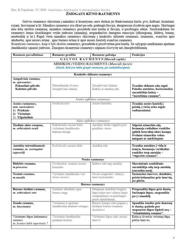 Terminai Raumenu Lentele 22 Koreguota | PDF