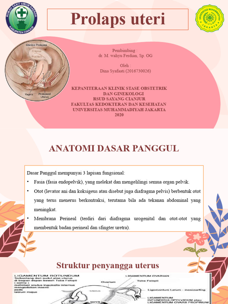 Prolaps Uteri - Dina Syafaati | PDF