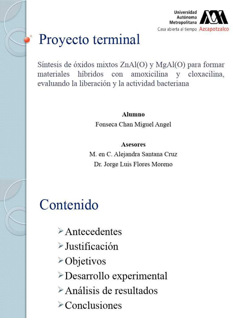 Proyecto Terminal | PDF