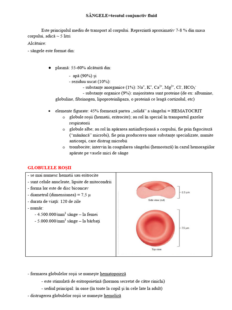 Sangele - Schema Lectiei | PDF