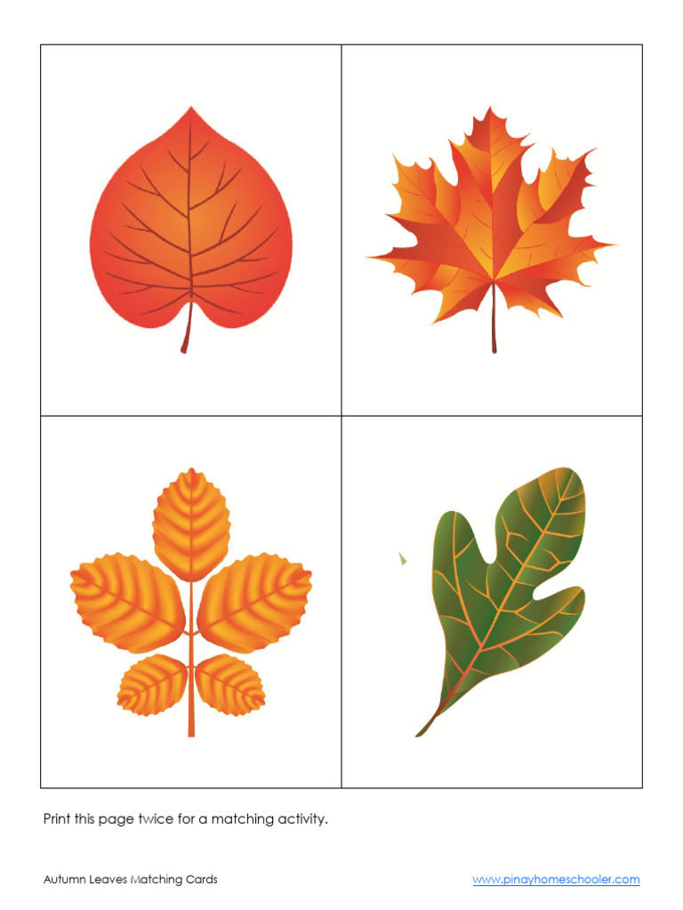 Autumn Leaves Matching Cards | PDF | Home & Garden