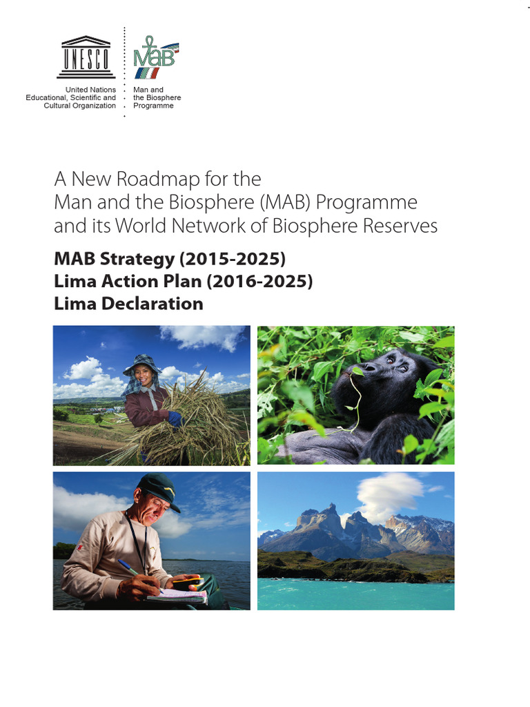 MAB Strategy | PDF | Science & Mathematics