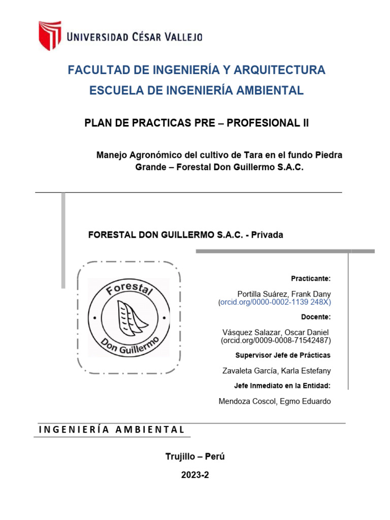 Plan de Practicas | PDF