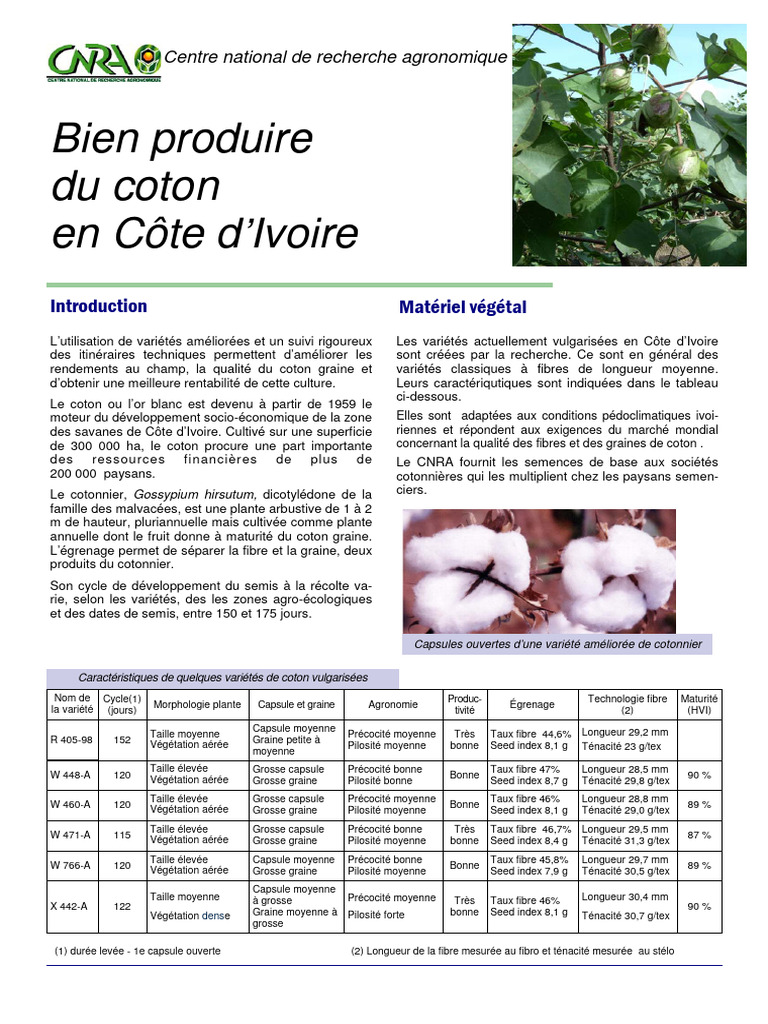 Fiche Coton | PDF