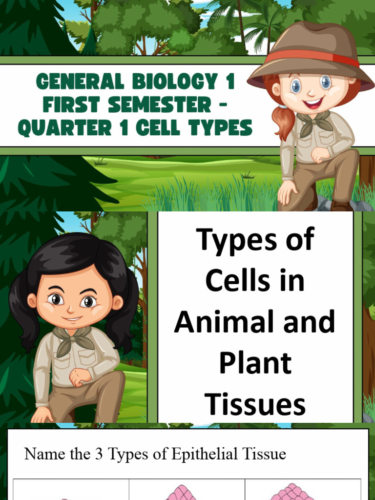 Plants Tissue | Download Free PDF | Tissue (Biology) | Branches Of Botany