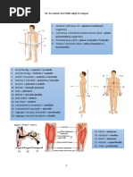 Az Emberi Test Felépítése Anatómia Ápolás | PDF