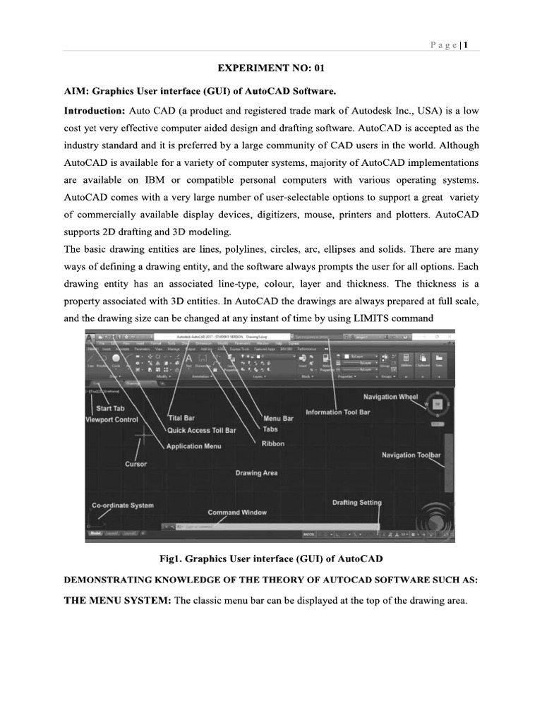 Egd Assignment | PDF