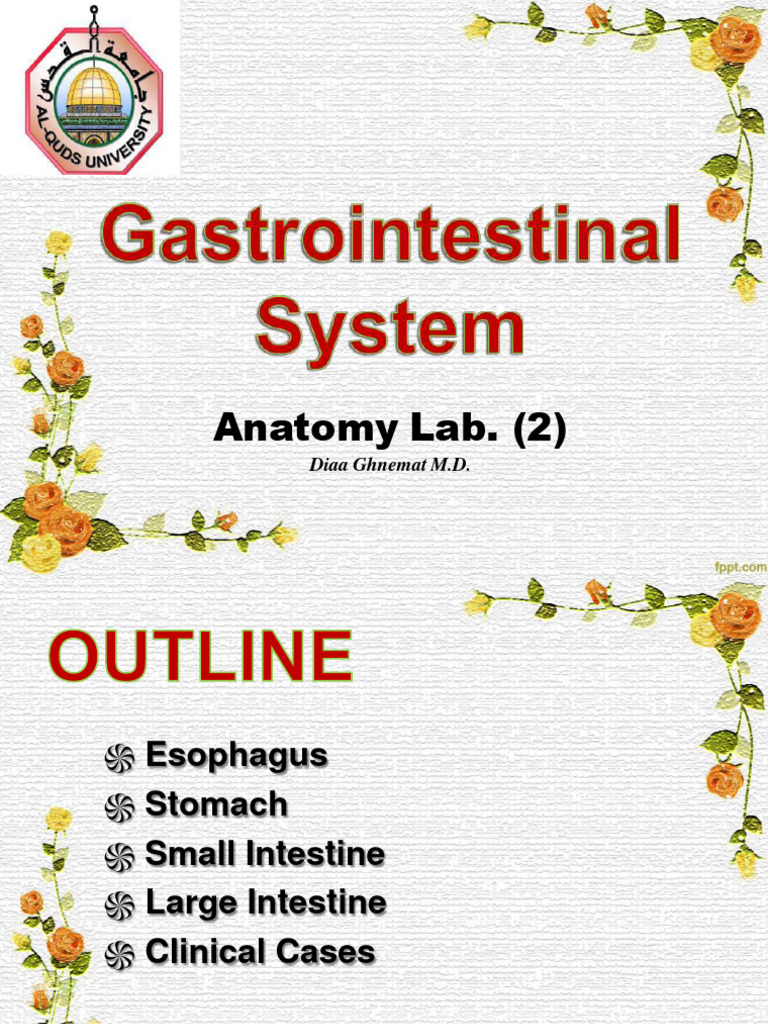 Anatomy Lab. (2) : Diaa Ghnemat M.D | PDF
