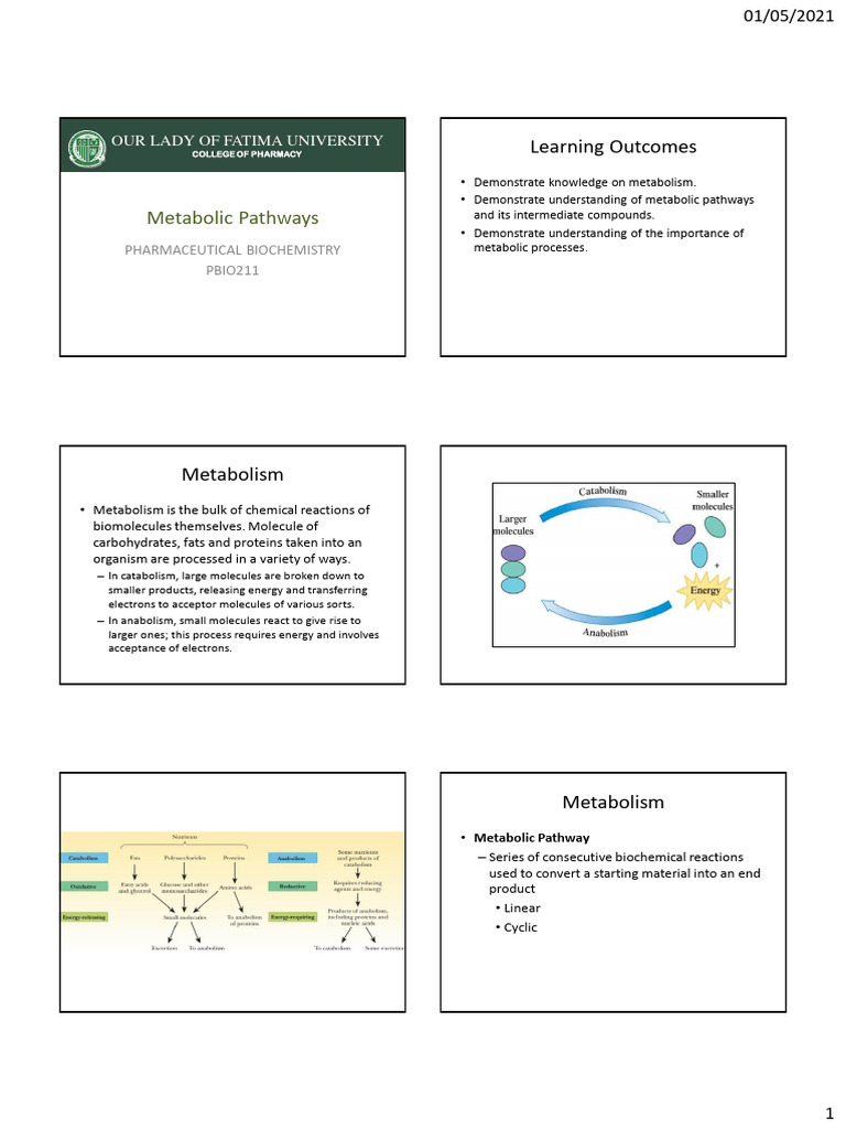 Metabolic Pathways in Biochemistry | PDF | Science & Mathematics