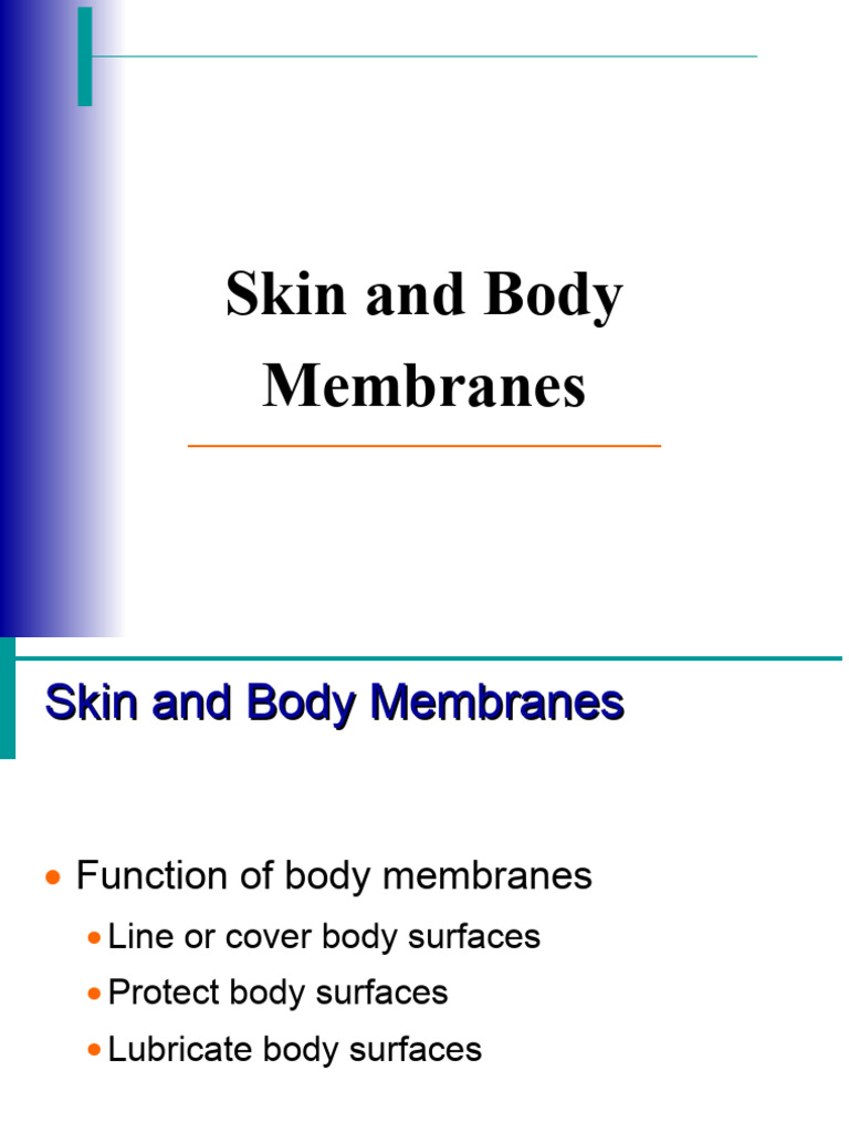 Skin and Body Membranes | PDF