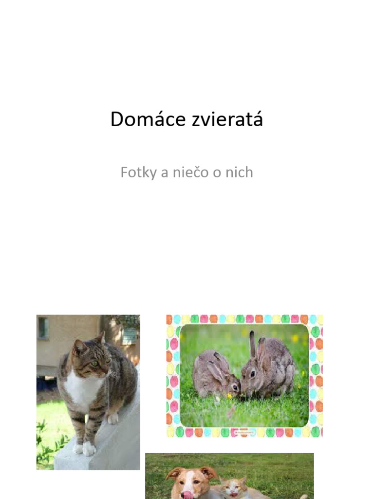 Domáce Zvieratá | PDF