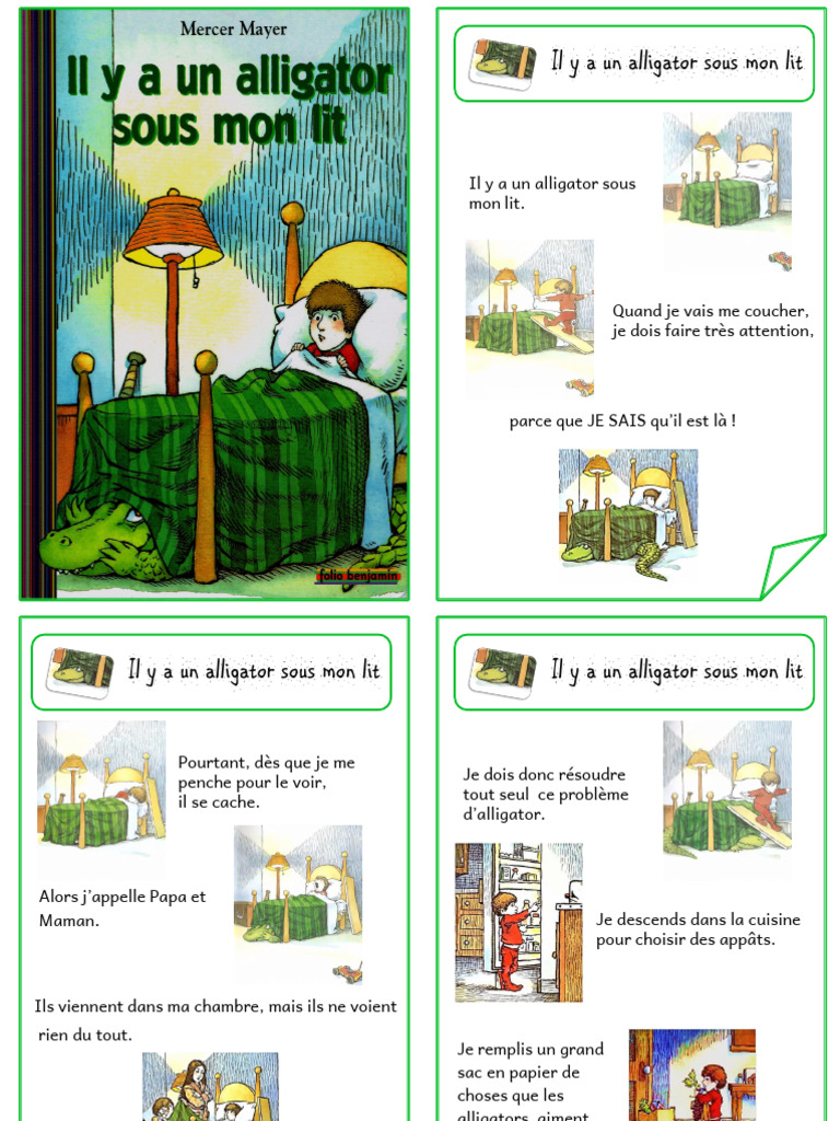 Tapuscrit Il y A Un Alligator Sous Mon Lit Mercer Meyer Lecture CP | PDF