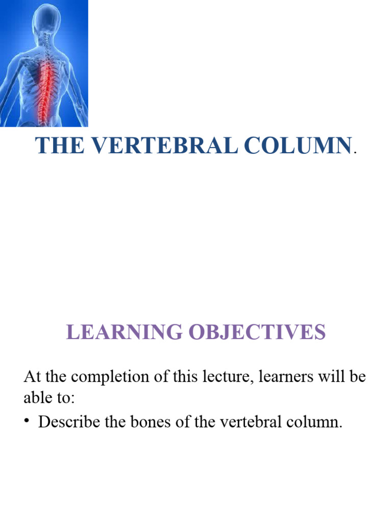 Lec18 (1) Anatmy Physiology | PDF