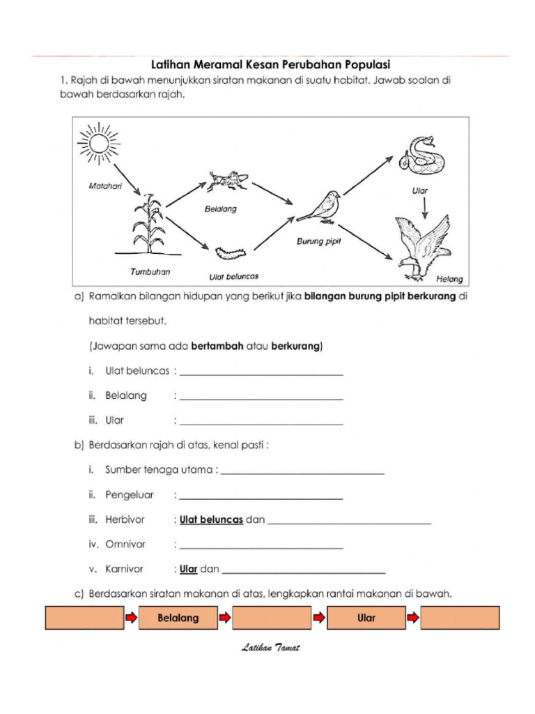 Sains Tahun 5 Meramal Kesan Populasi Haiwan | PDF