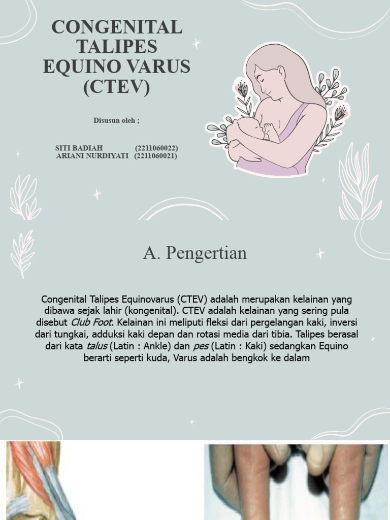 Ctev | PDF