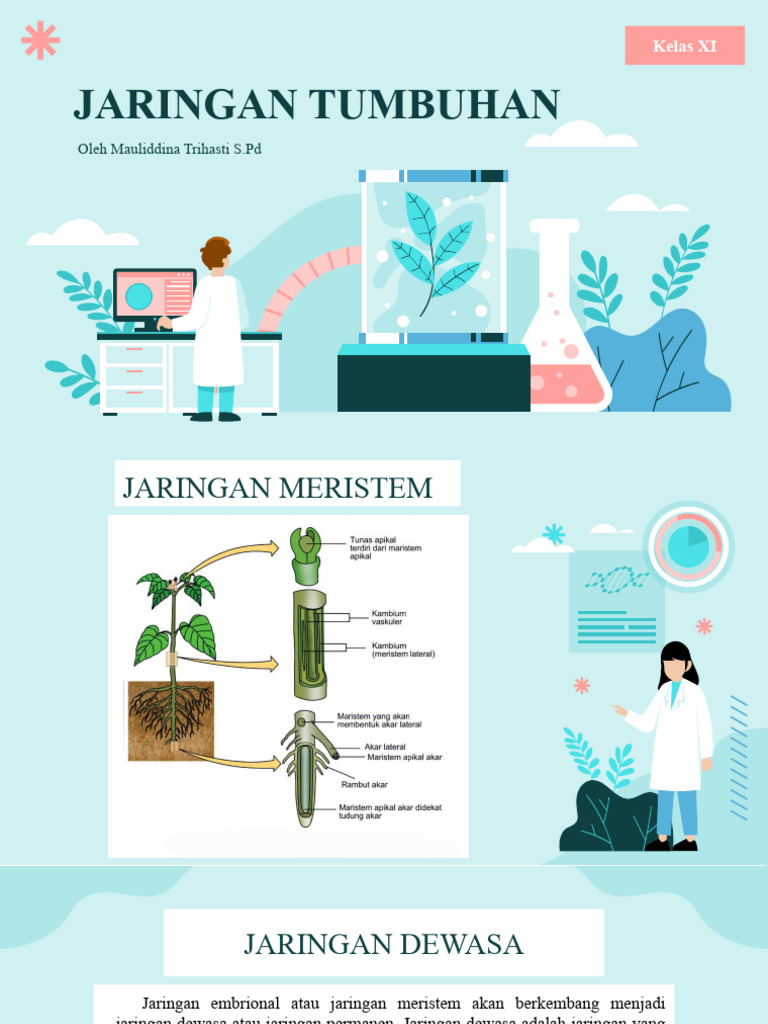 Jaringan Tumbuhan | PDF | Griya & Taman | Kesehatan Holistik