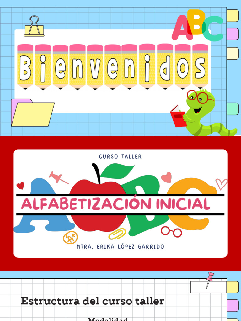 Alfabetización Inicial | PDF