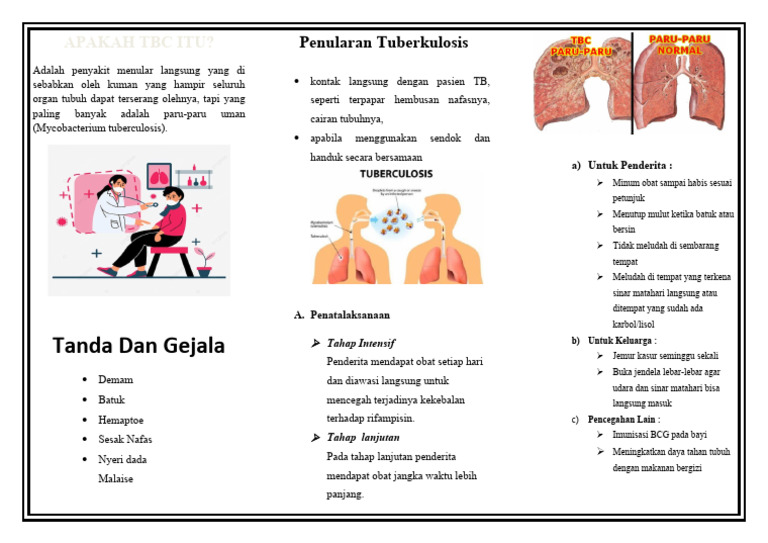 Leaflet TB Paru | PDF