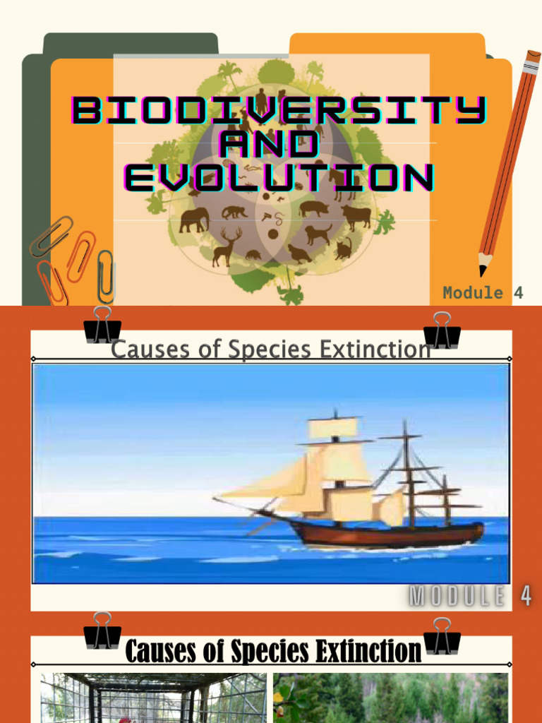 Module 4 Biodiversity and Evolution | PDF