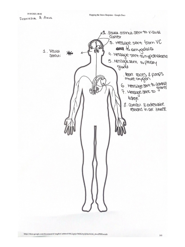 10102023, 0802 | PDF