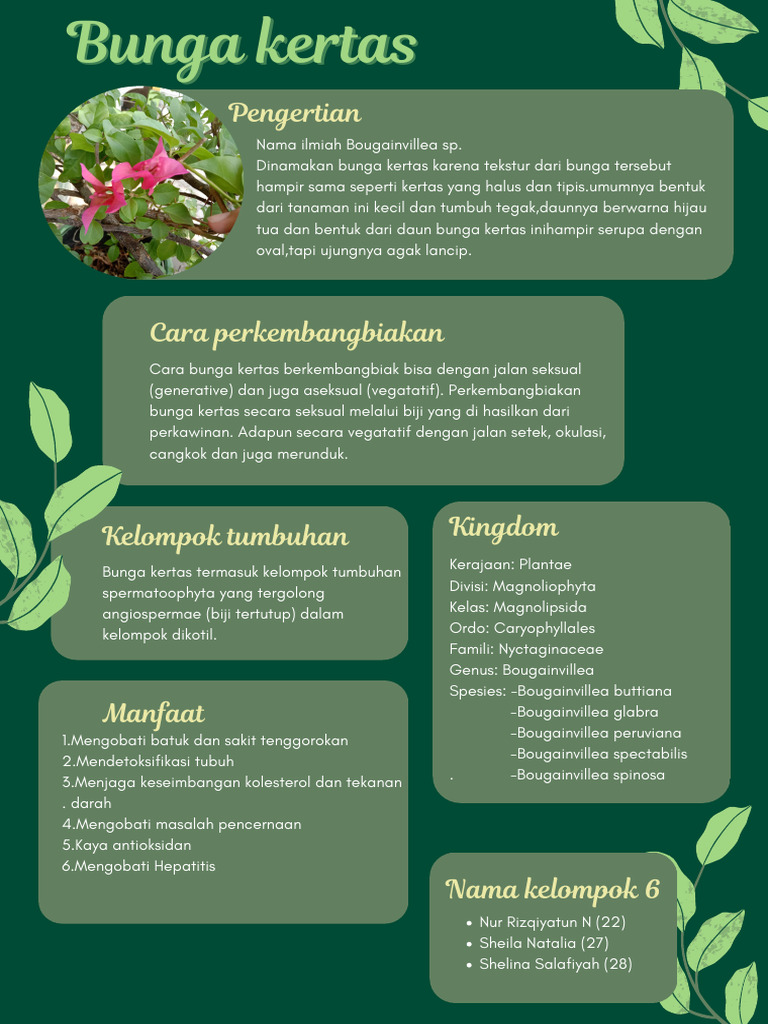 Poster Perkembangan Bunga Kertas | PDF