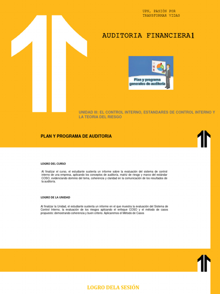 28 Plan de Aud y Prog | PDF