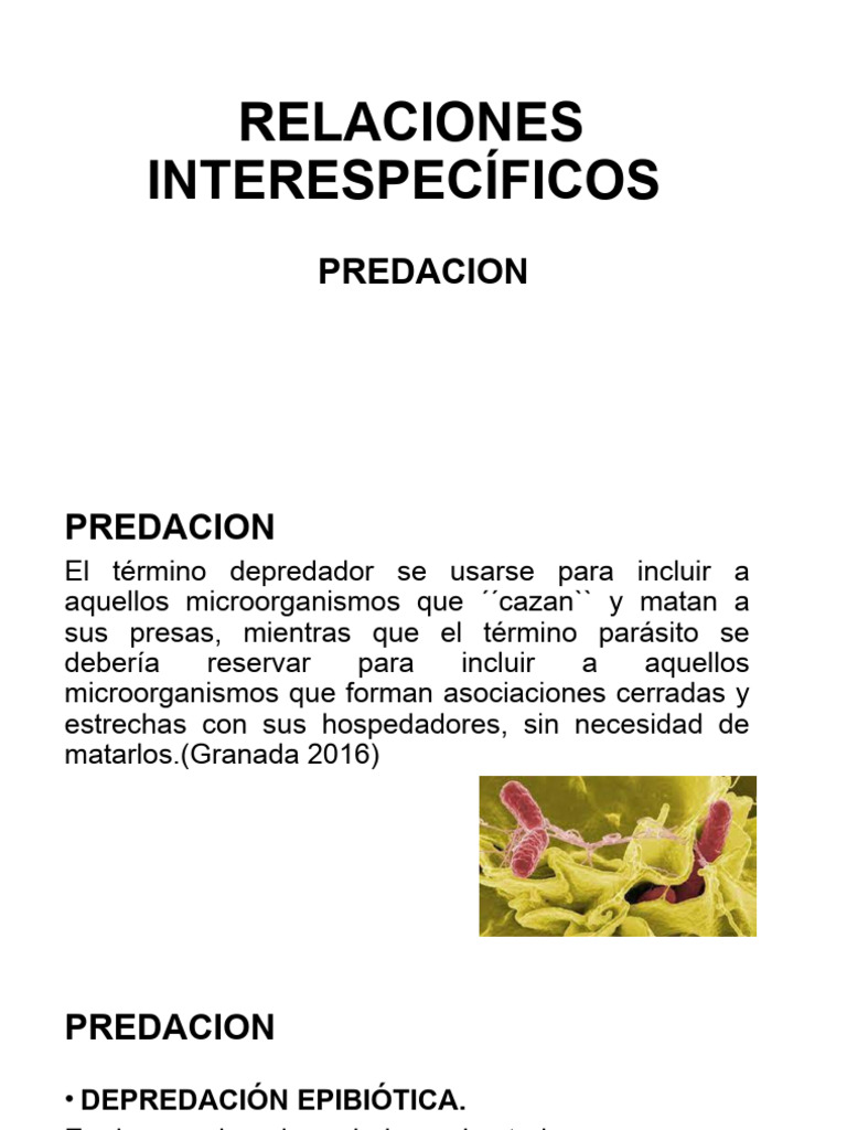 PREDACION | PDF