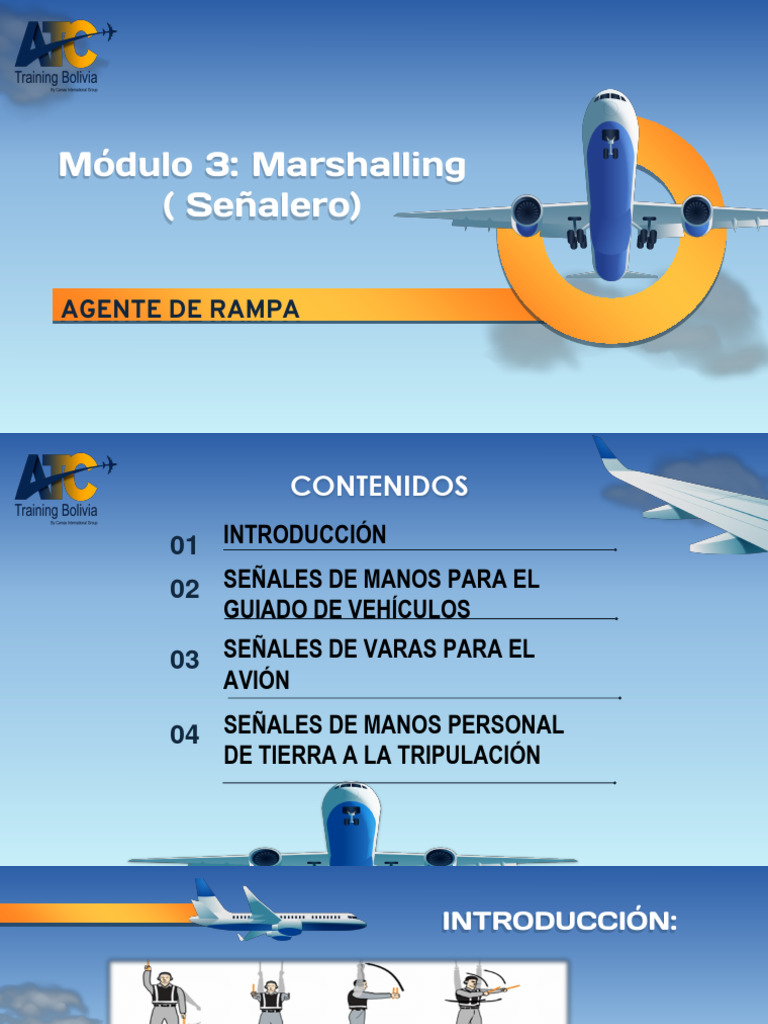 TEMA 1 Marshalling | PDF